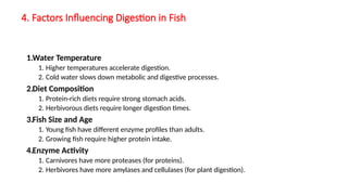 Digestive system in Fish. a complete lecture | PPTX