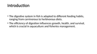 Digestive system in Fish. a complete lecture | PPTX