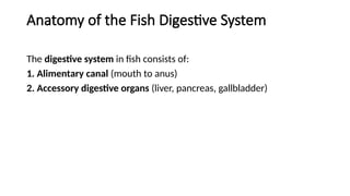 Digestive system in Fish. a complete lecture | PPTX