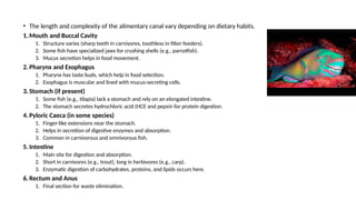 Digestive system in Fish. a complete lecture | PPTX