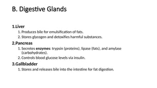 Digestive system in Fish. a complete lecture | PPTX