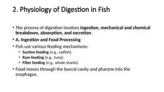 Digestive system in Fish. a complete lecture | PPTX
