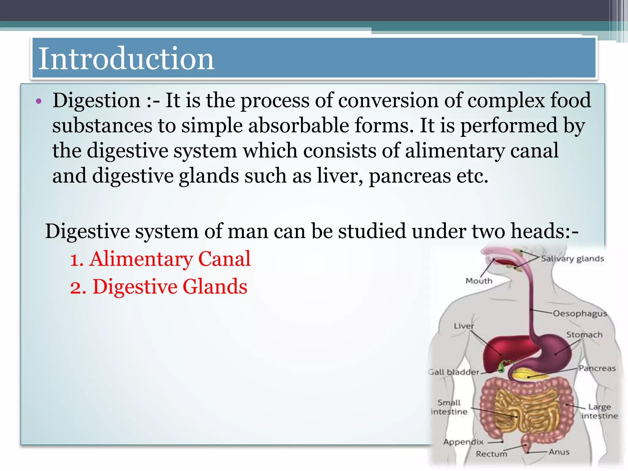 Digestive system in human | PPT