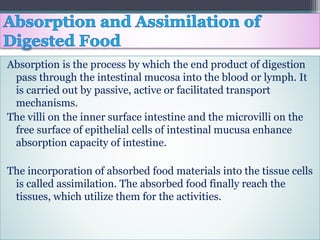 Digestive system in human | PPTX