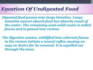 Digestive system in human | PPT