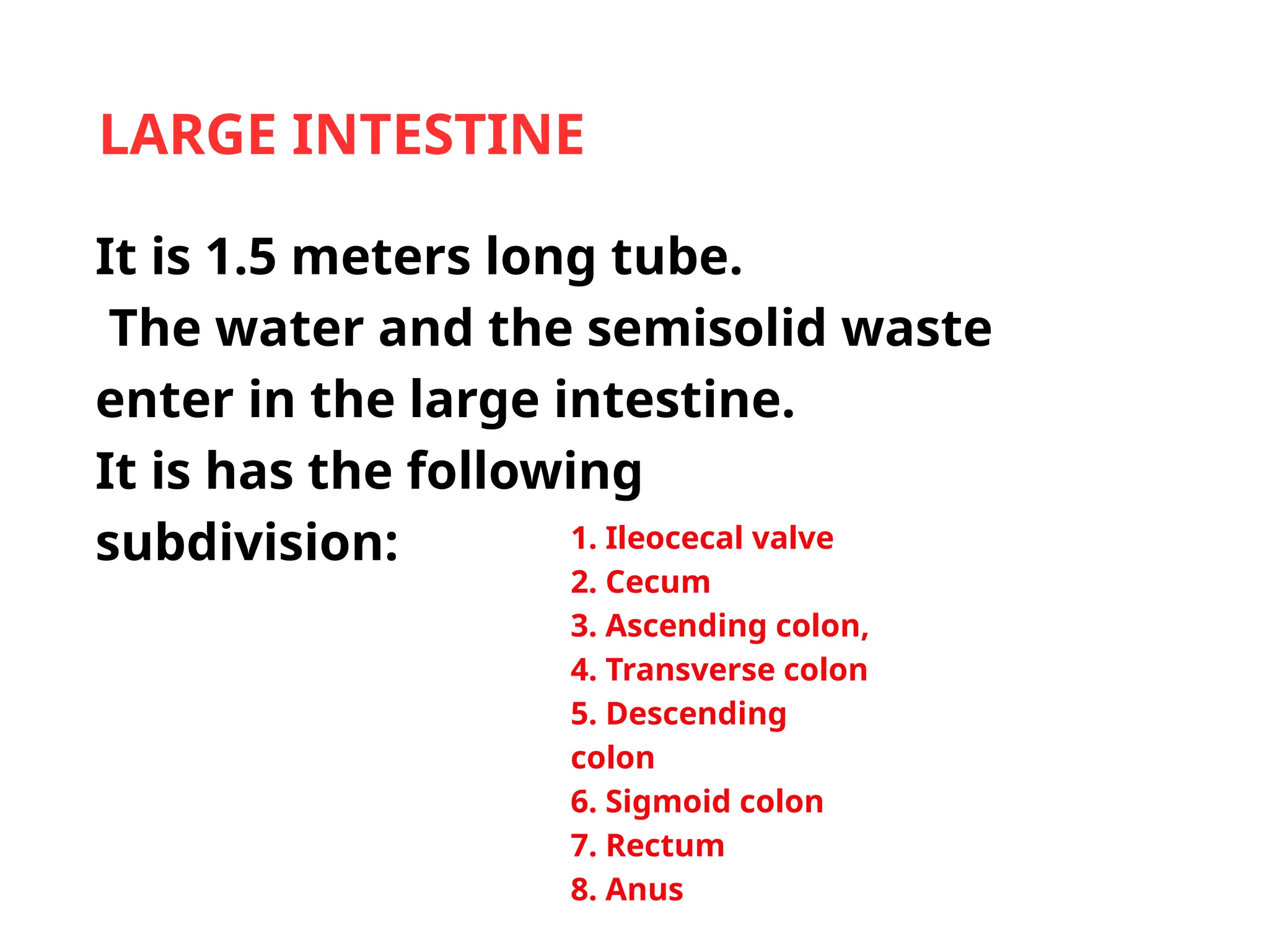 Digestive system in Humans.pptx.pptx esophagus,stomach,intestines | PPT