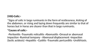 Digestive System in Large Ruminants.pptx