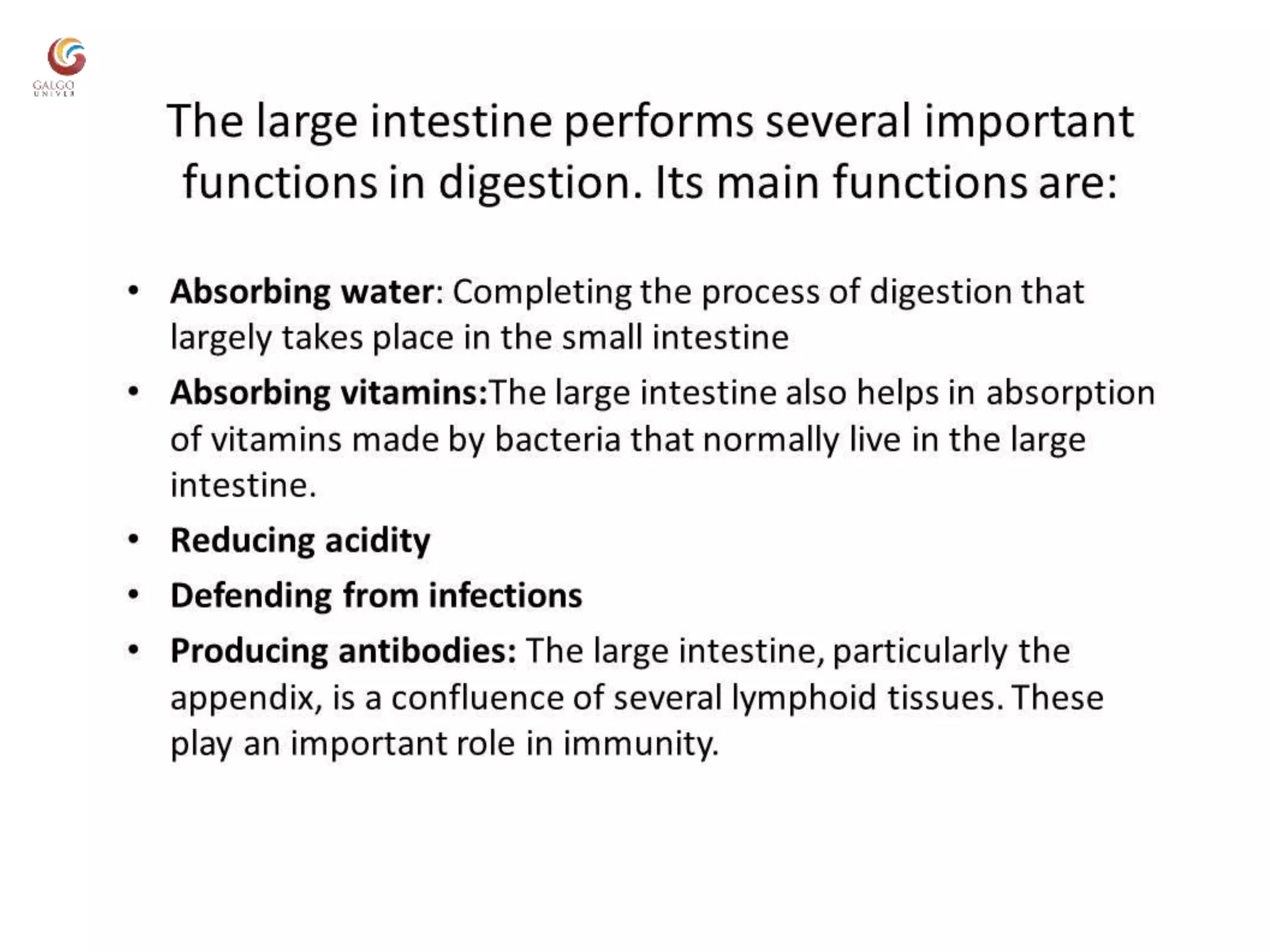 Digestive system introduction | PPTX