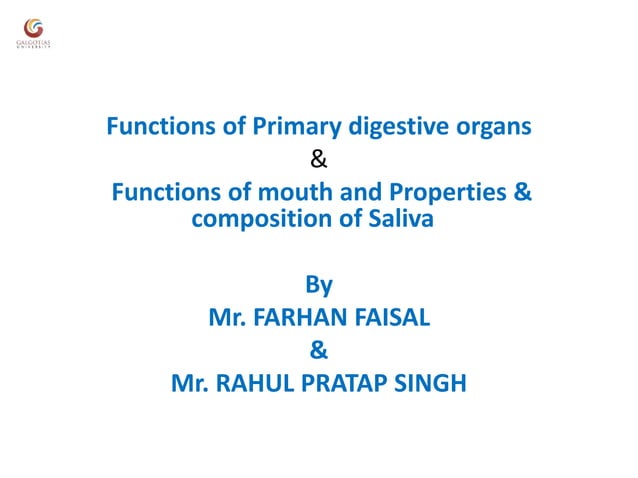Digestive system introduction | PPTX