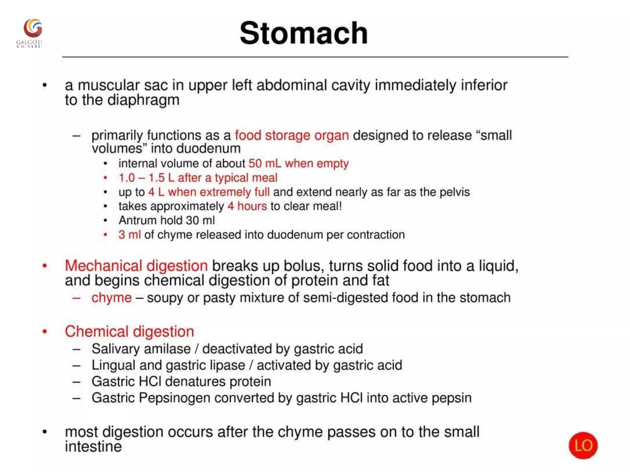 Digestive system introduction | PPTX
