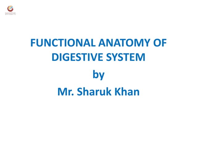 Digestive system introduction | PPT