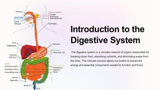 digestive system (ppt sistem pencernaan ) | PPT