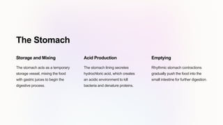digestive system (ppt sistem pencernaan ) | PPTX