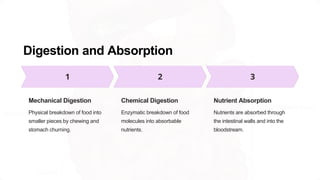 digestive system (ppt sistem pencernaan ) | PPTX