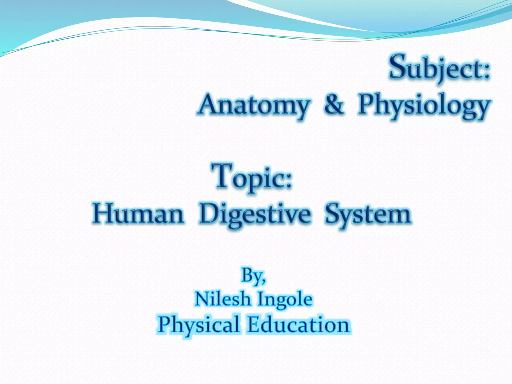 Human Digestive System : Anatomy and Physiology | PPTX