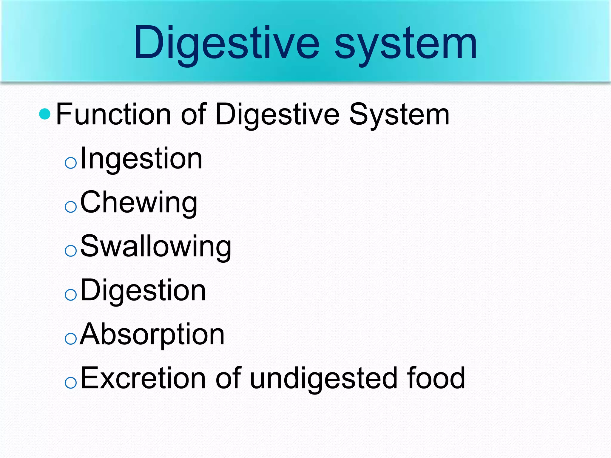 Human Digestive System : Anatomy and Physiology | PPT