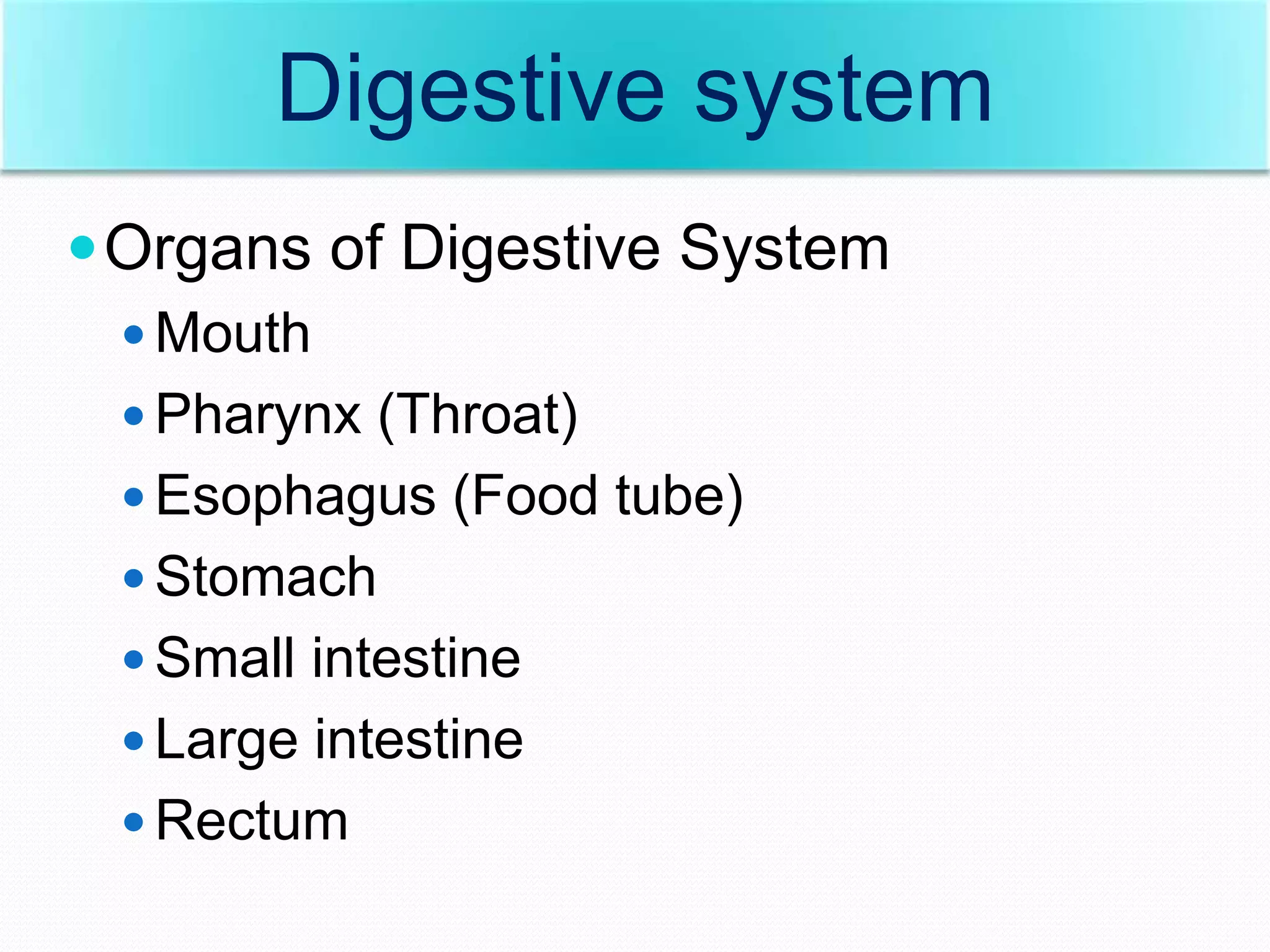 Human Digestive System : Anatomy and Physiology | PPT