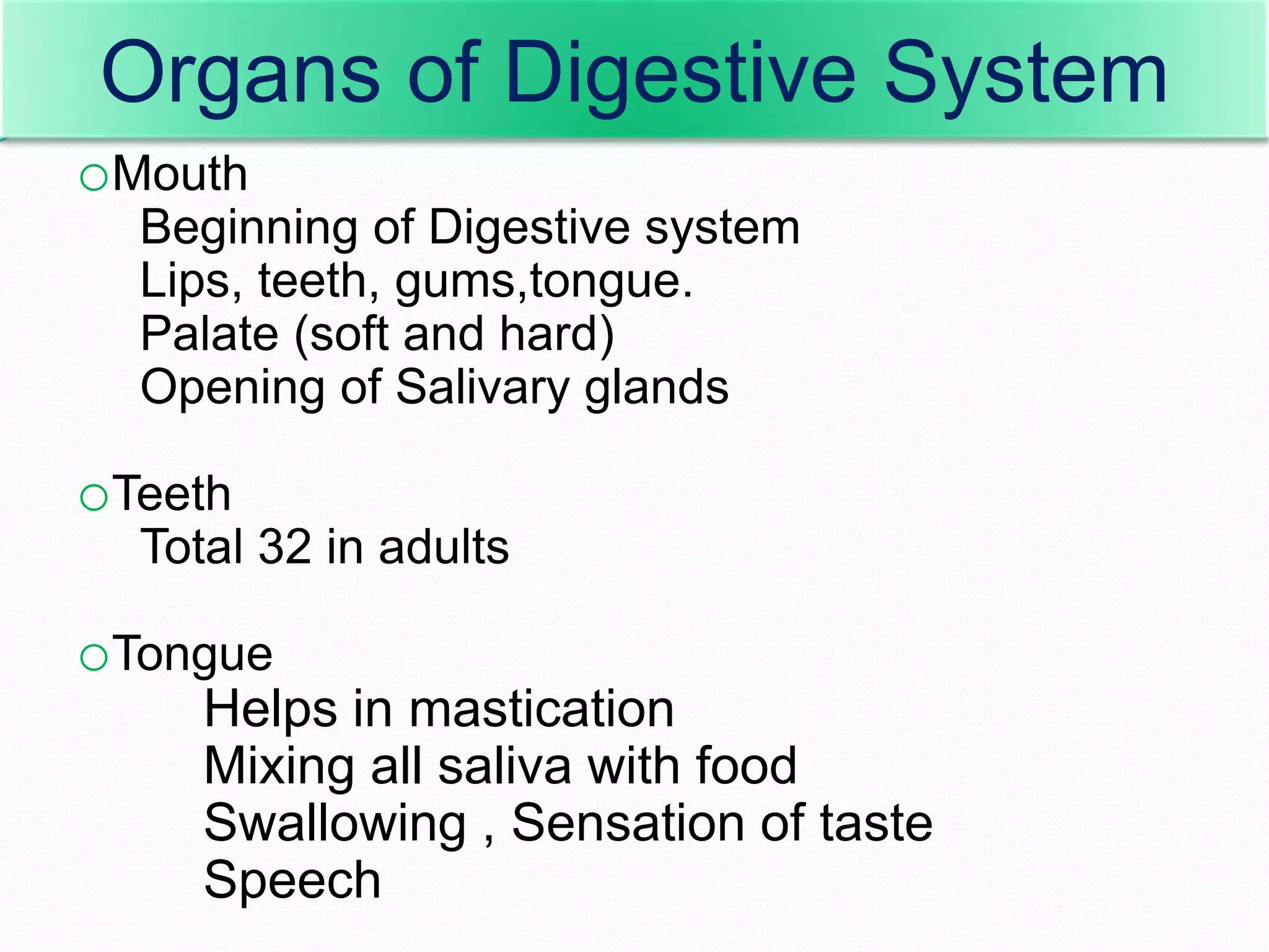 Human Digestive System : Anatomy and Physiology | PPT