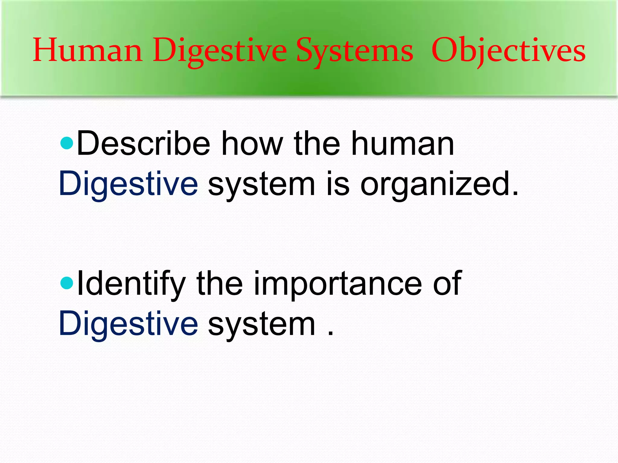Human Digestive System : Anatomy and Physiology | PPT