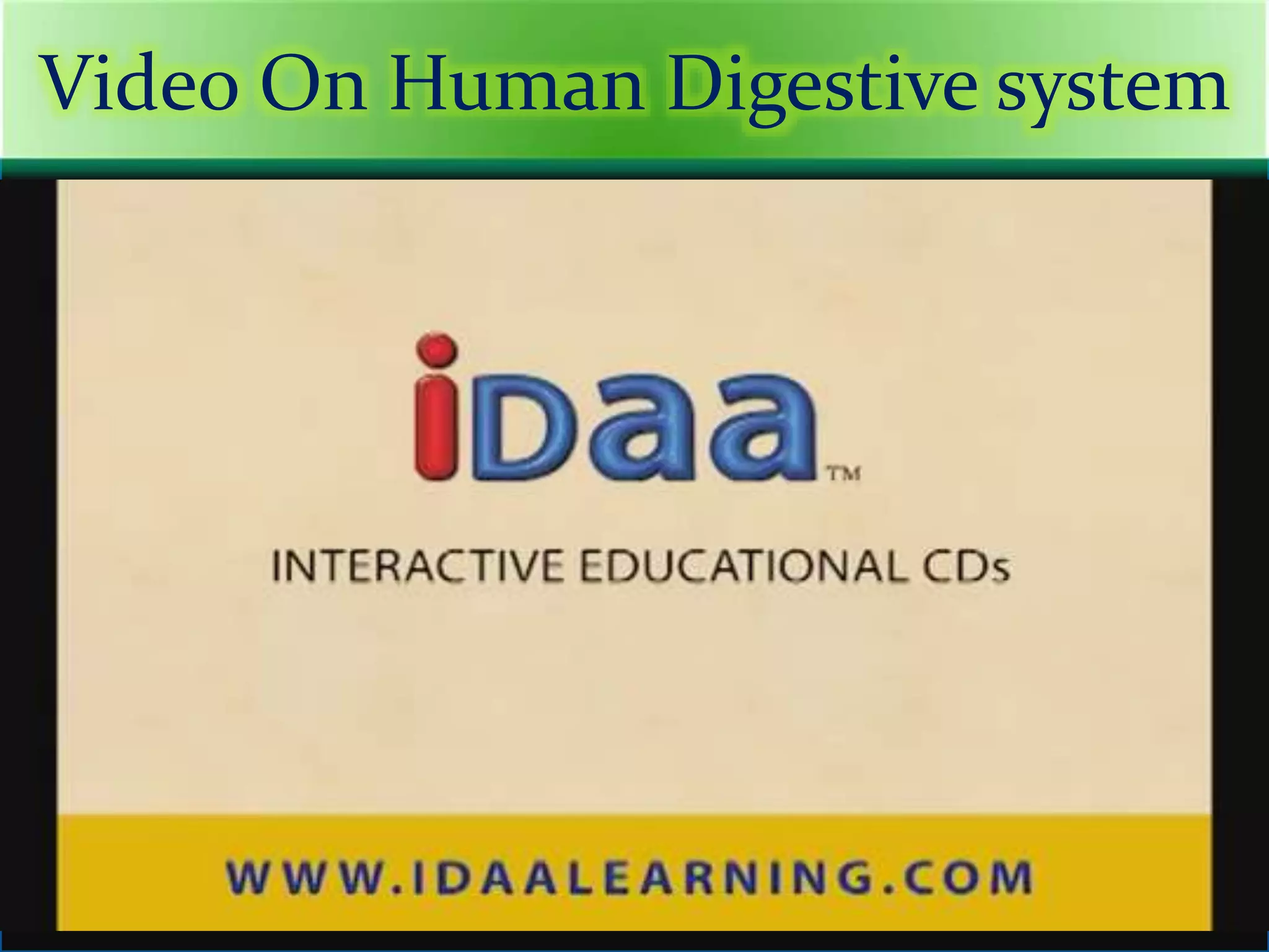Human Digestive System : Anatomy and Physiology | PPT