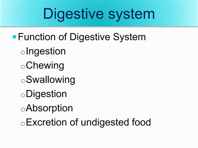 Human Digestive System : Anatomy and Physiology | PPT
