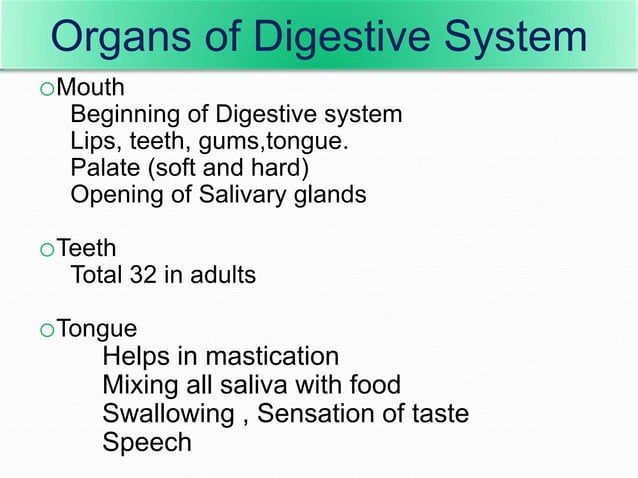 Human Digestive System : Anatomy and Physiology | PPT