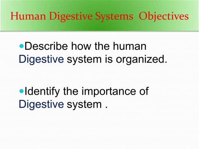 Human Digestive System : Anatomy and Physiology | PPT