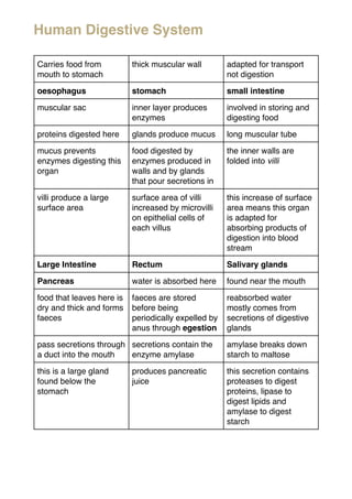 Digestive System Labeled With Functions