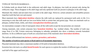 Digestive system Lecture.pdf | Pet Supplies | Pets
