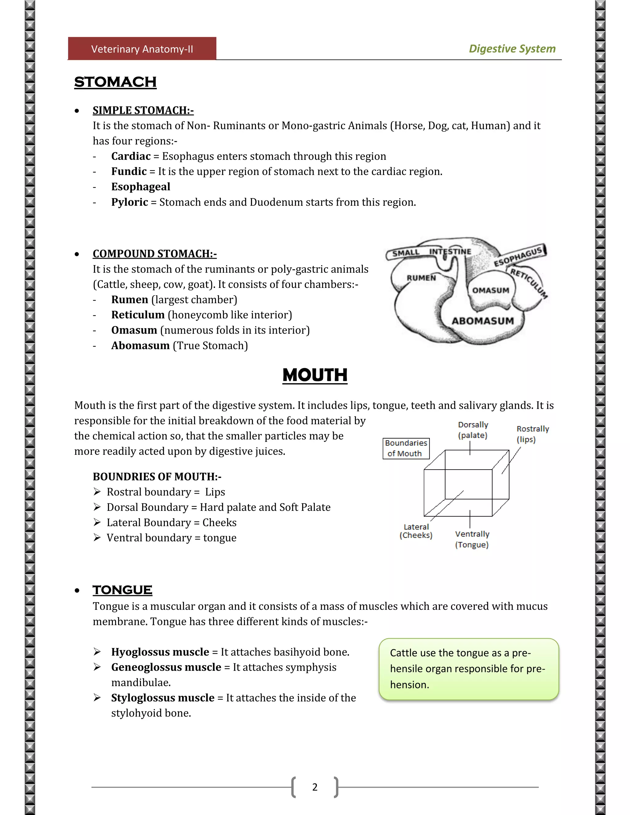 Veterinary Anatomy of Digestive system of different animals and there ...