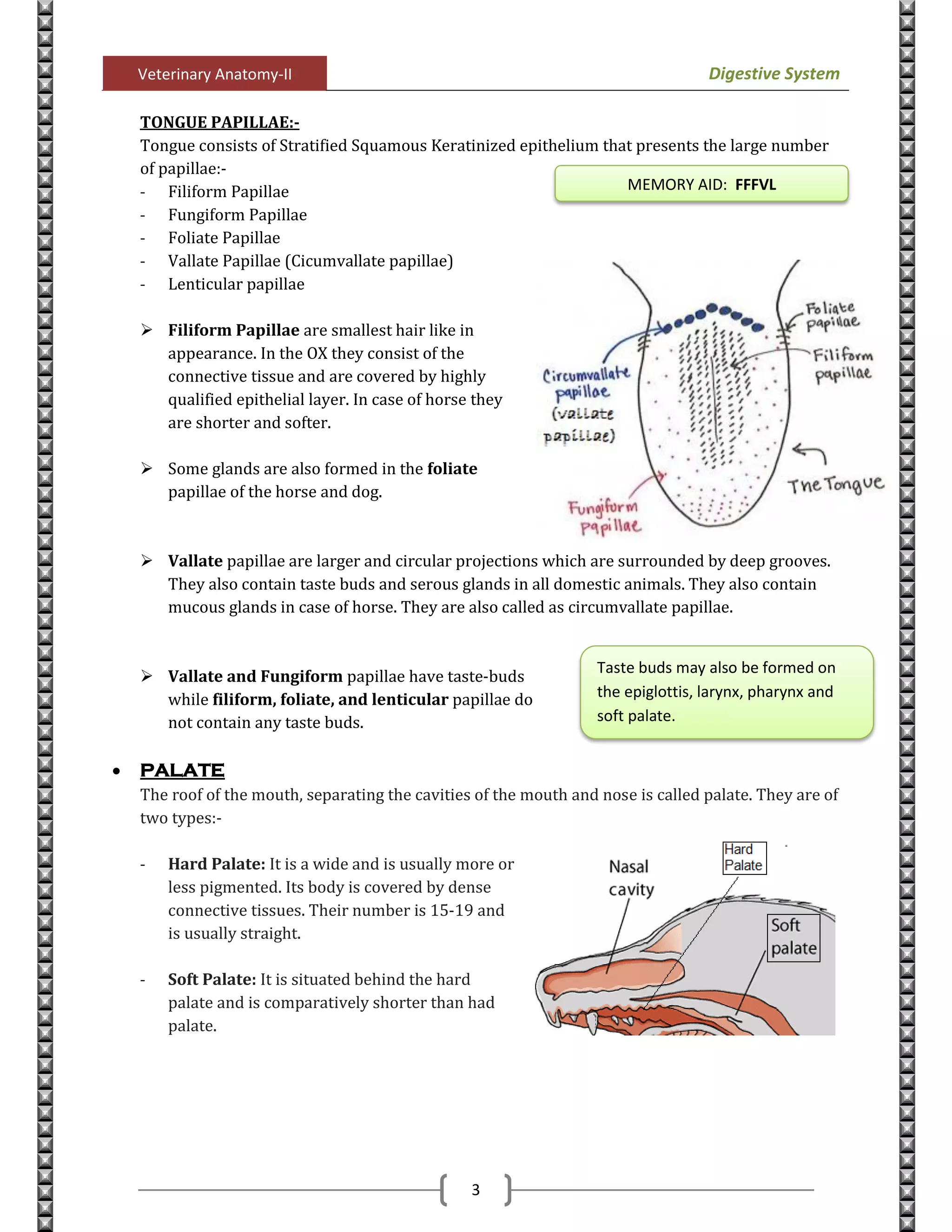 Veterinary Anatomy of Digestive system of different animals and there ...