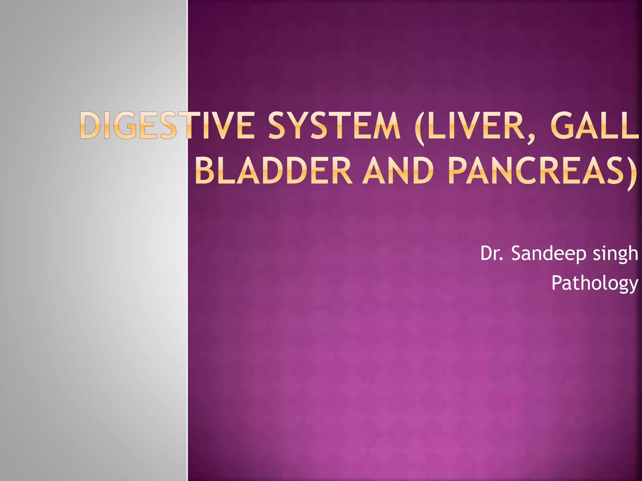 Digestive System Liver, Gall Bladder and Pancreas.pptx | Medical Health