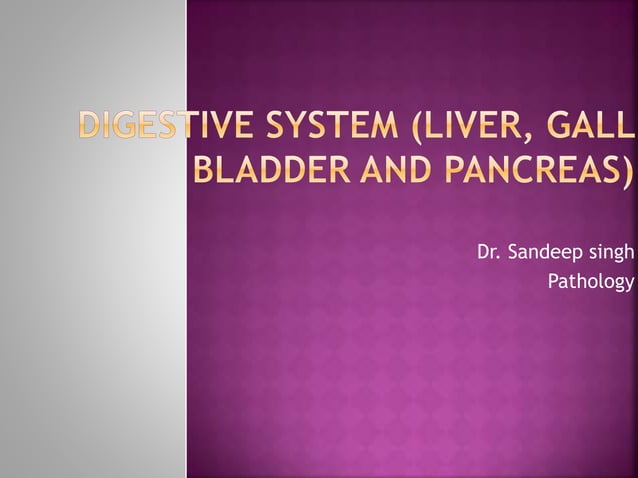 Digestive System Liver, Gall Bladder and Pancreas.pptx | Medical Health