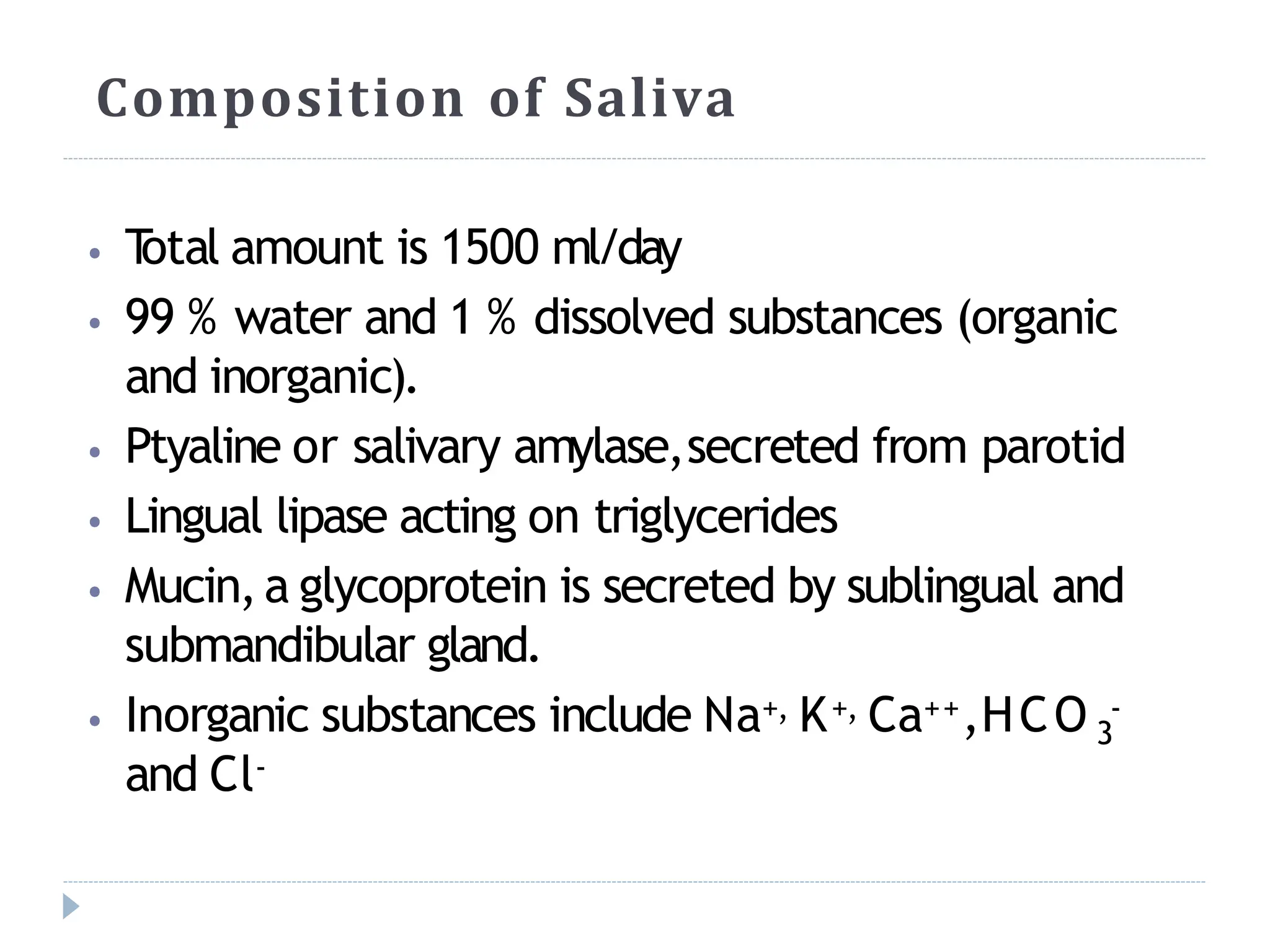 Digestive System Medical Class Lecture.pptx