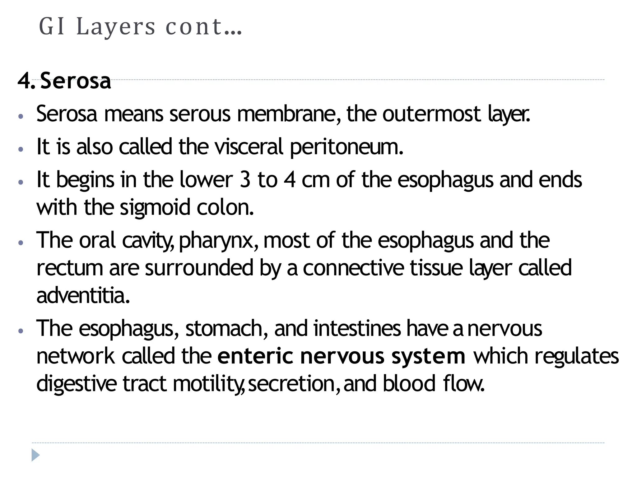 Digestive System Medical Class Lecture.pptx