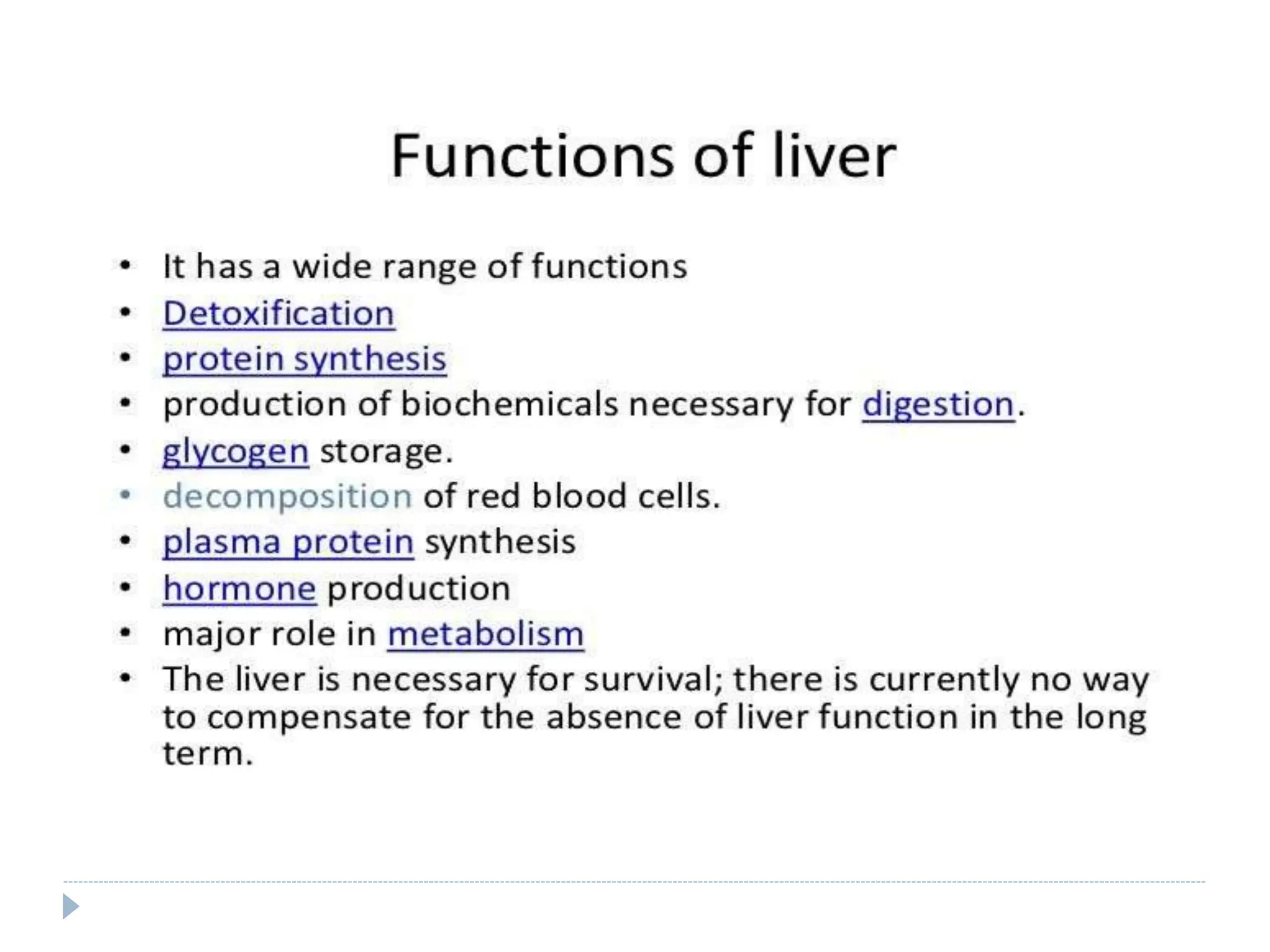 Digestive System Medical Class Lecture.pptx