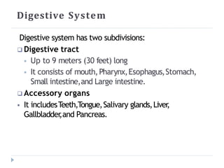 Digestive System Medical Class Lecture.pptx | Digestive Disorders ...