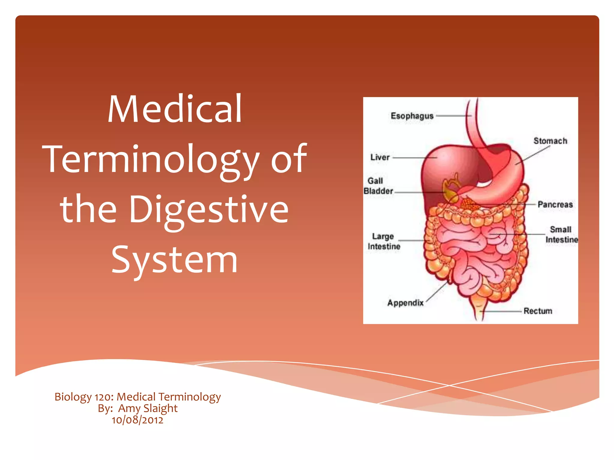 Digestive System Medical Terminology | PPTX