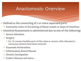 Digestive System Medical Terminology | PPTX