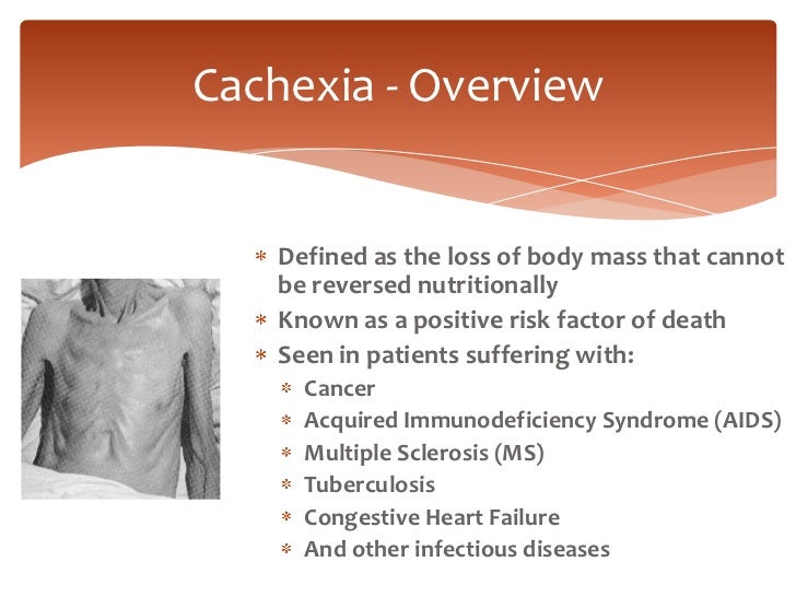 Digestive System Medical Terminology