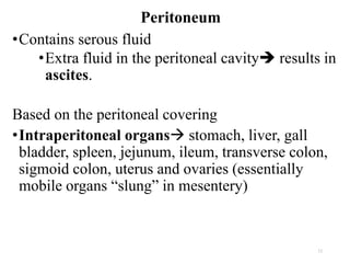 Digestive System N.pdf