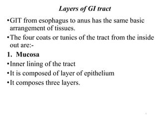 Digestive System N.pdf
