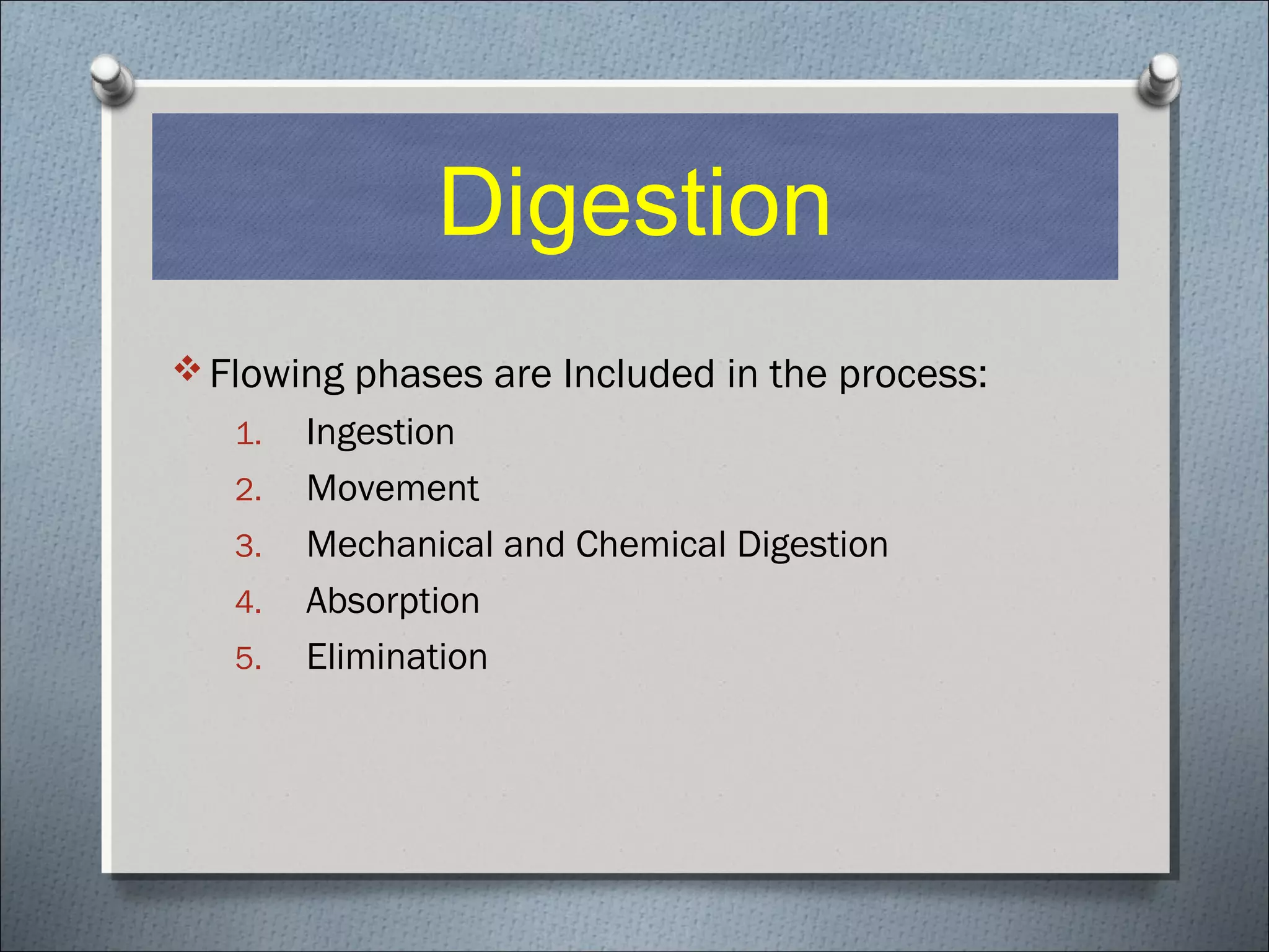 Digestive System Notes | PPT