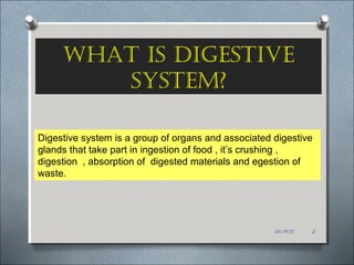 Digestive System Notes | PPT
