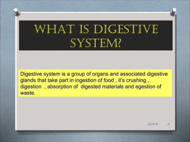 Digestive System Notes | PPT | Digestive Disorders | Diseases and ...