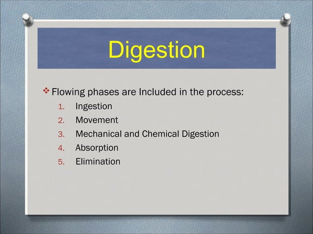 Digestive System Notes | PPT | Digestive Disorders | Diseases and ...