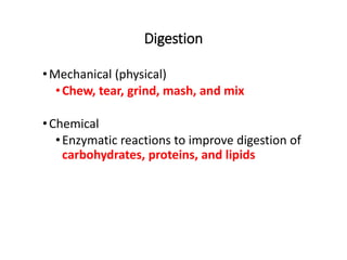 Digestive system notes | PPT