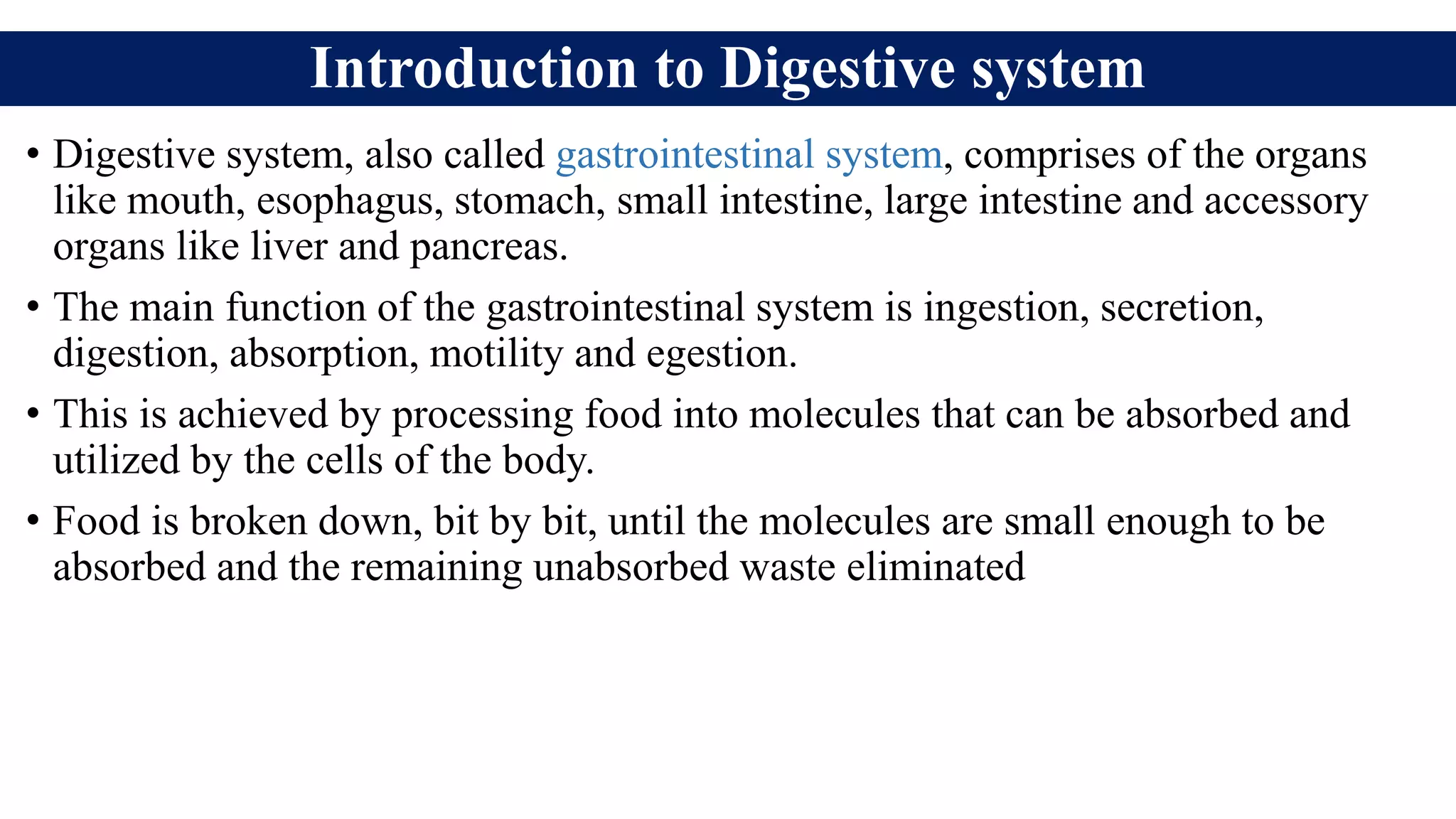 Digestive System notes.pptx