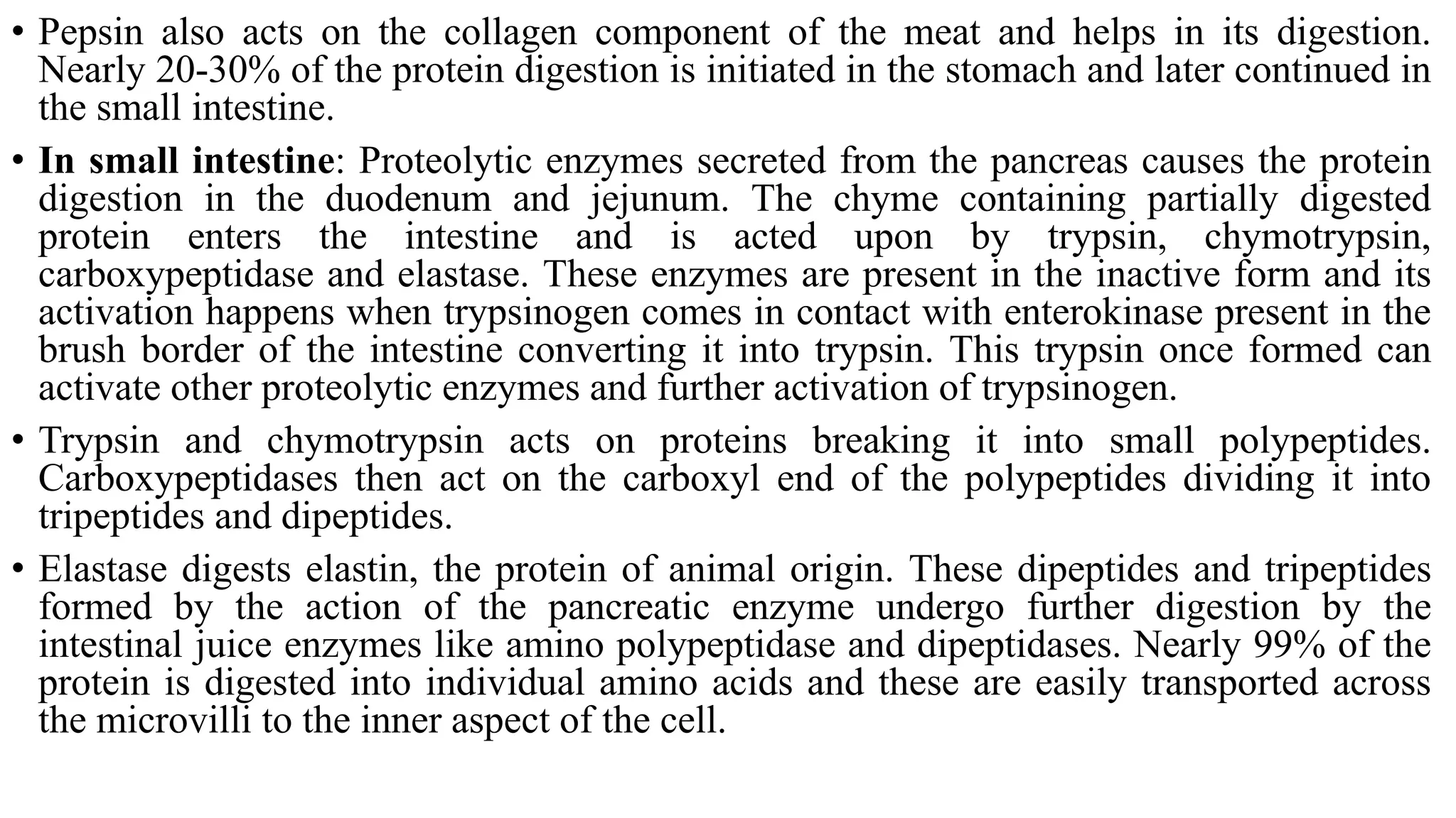 Digestive System notes.pptx