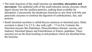 Digestive System notes.pptx